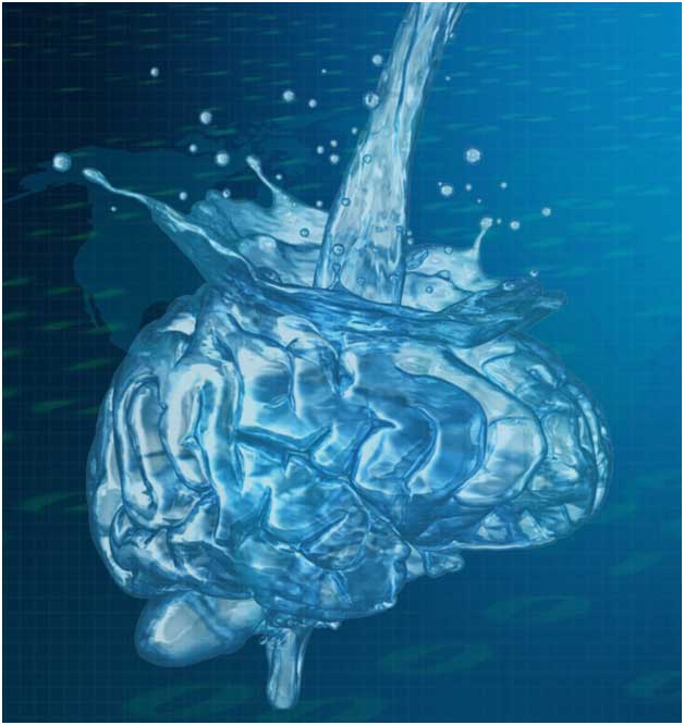 Water Research & Education Needs to Flow Towards Developing World ...