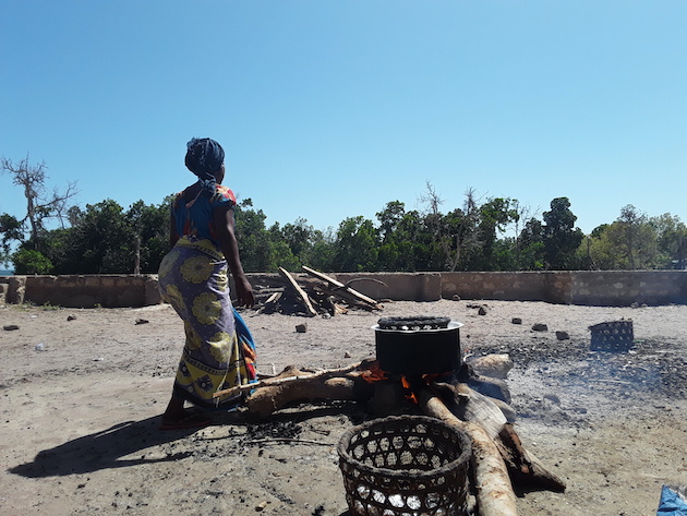 Kenyan Community Project Saving Forests, Saving Livelihoods — Global Issues