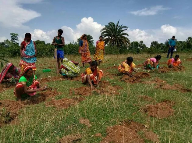 Indian Village Unlocks Treasure of Organic, Indigenous Farming — Global ...