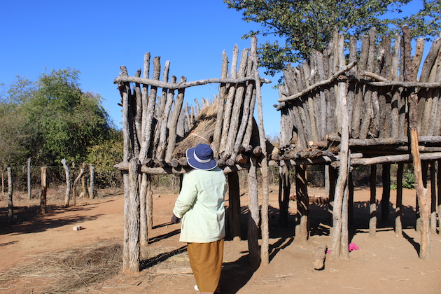 Africa: Will COP27 Deliver or be a Climate Forum of Empty Promises ...