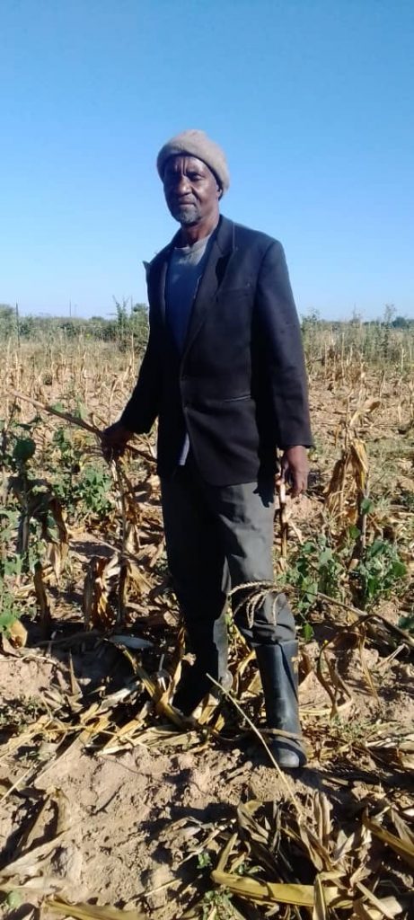 Beyond the Fields: Unraveling Zambia's Drought Crisis and the Urgent ...